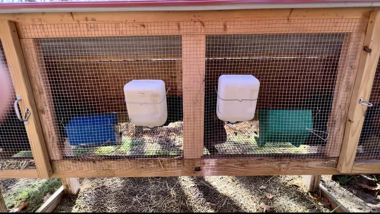 Total Cost to Raise Meat Rabbits in a Year