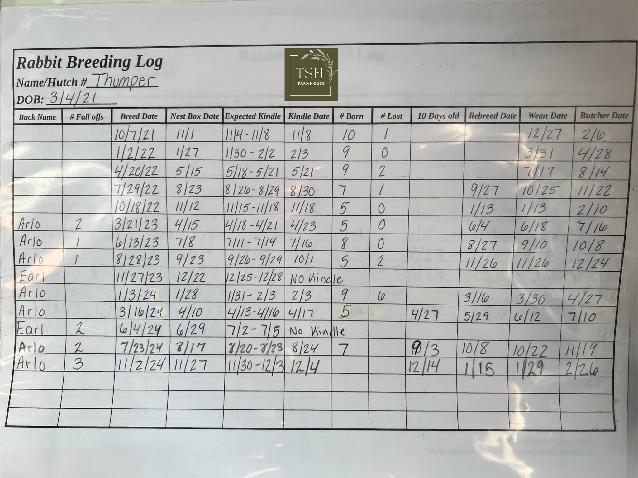 Total Cost to Raise Meat Rabbits in a Year
