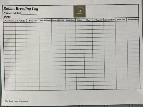 Meat Rabbits for Your Homestead: The Ultimate Beginner Guide