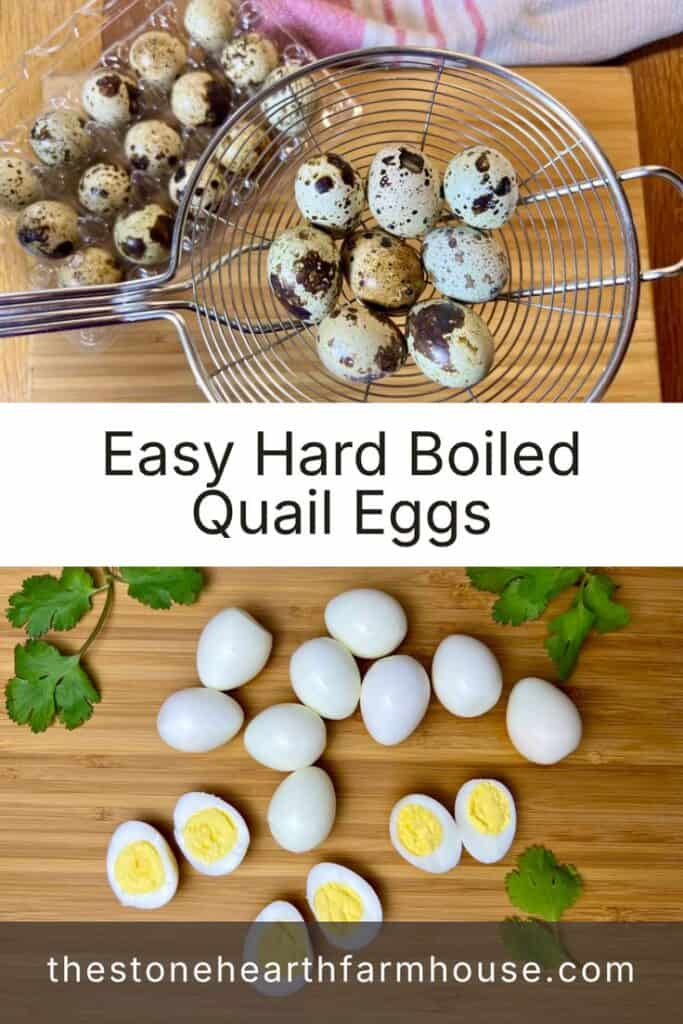 Perfect Hard Boiled Quail Eggs (Easy to Peel!)
