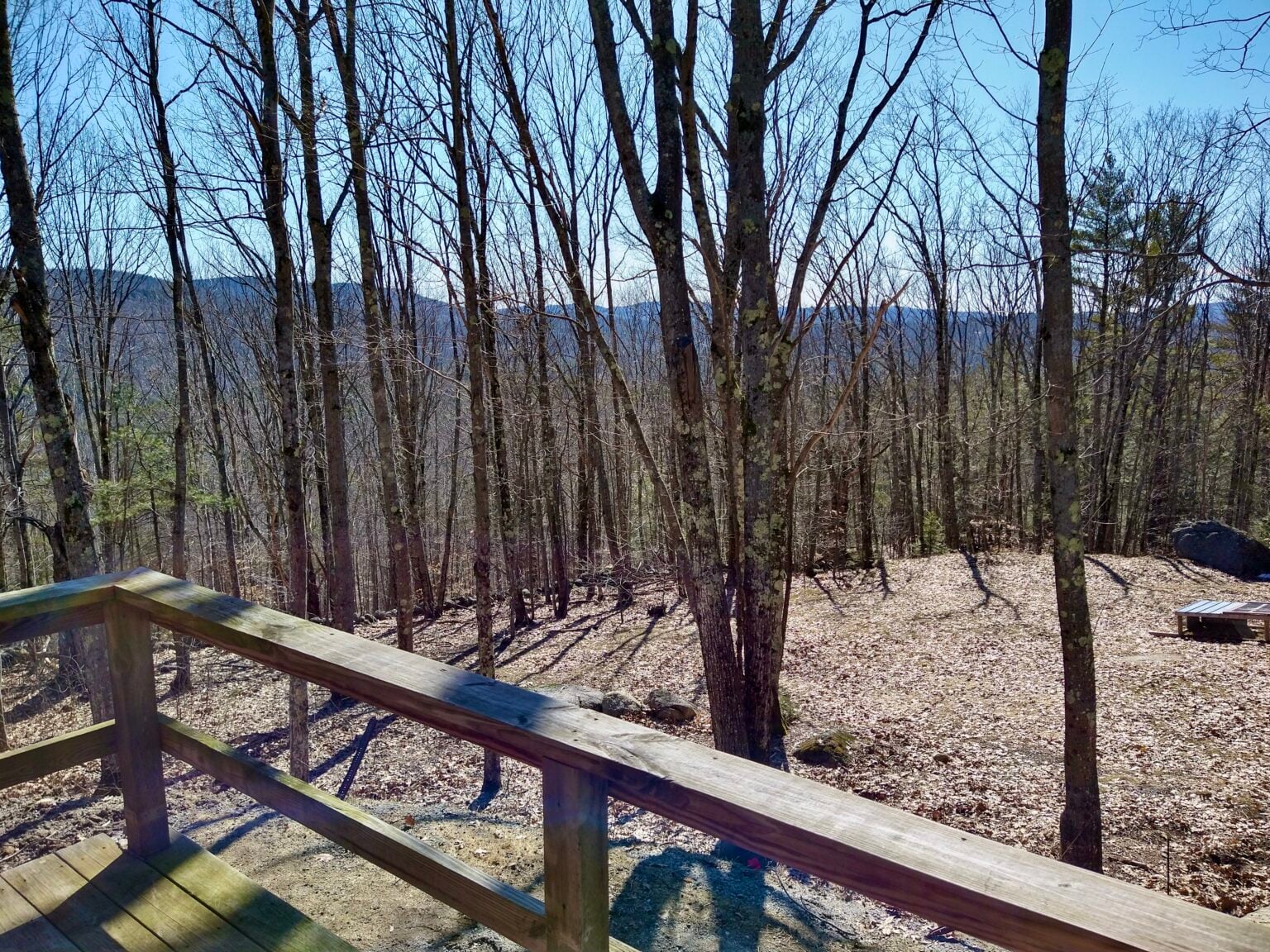 Beautiful DIY Trex Decking + Cattle Panel/Hog Wire Railing