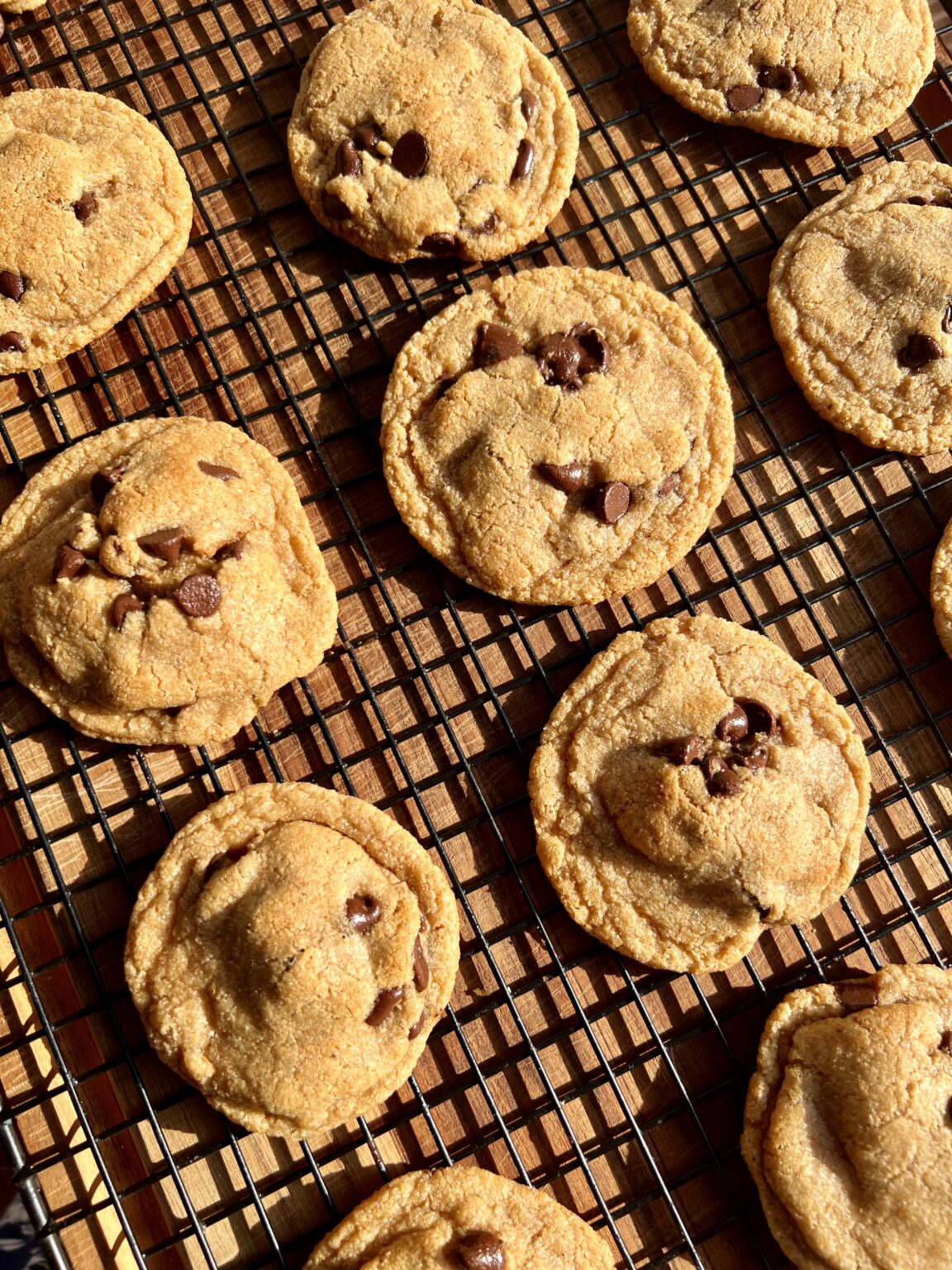 The Best Fresh Milled Chocolate Chip Cookies (Soft & Chewy)